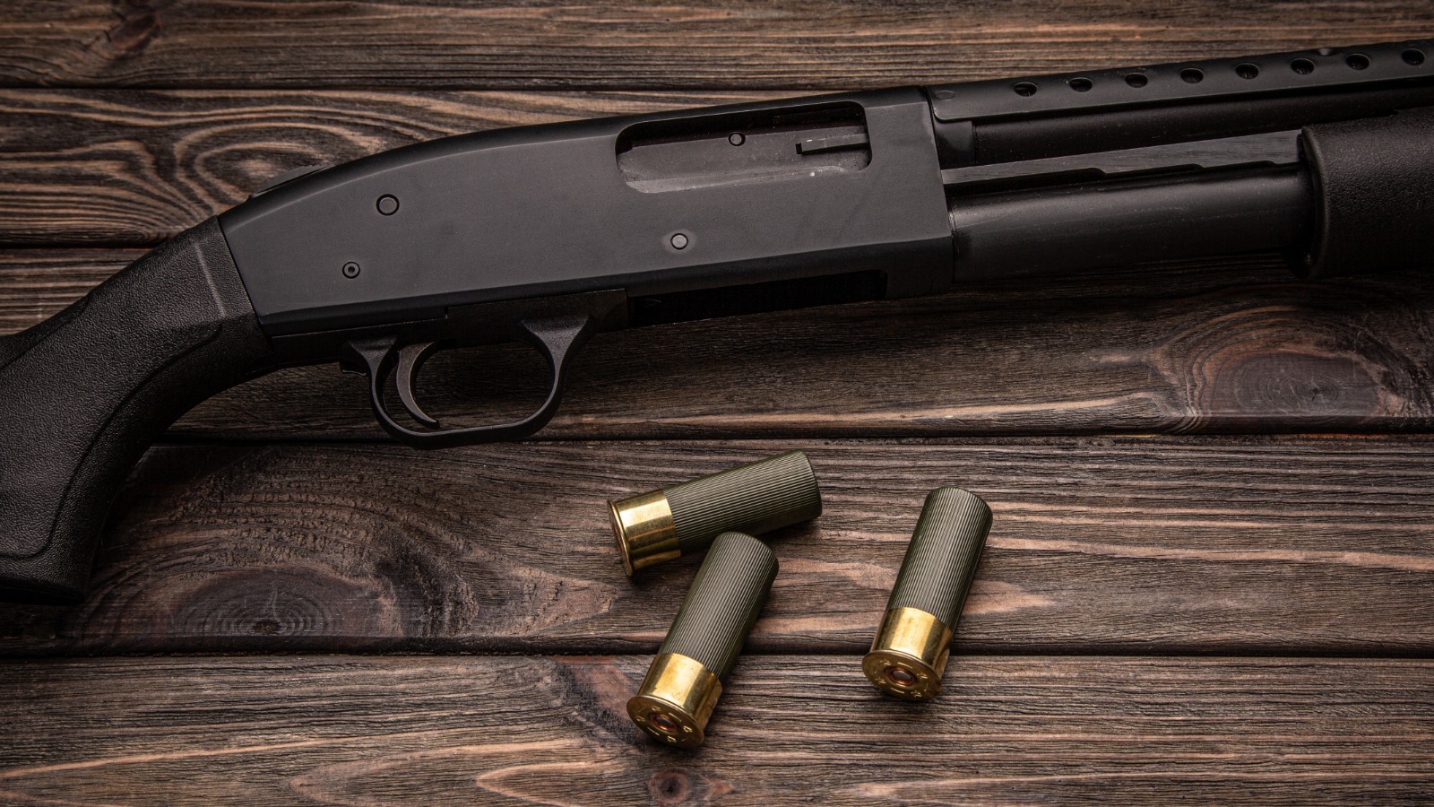 Bodybuilder 'Killer Sally' McNeil's Disturbing History Of Violence