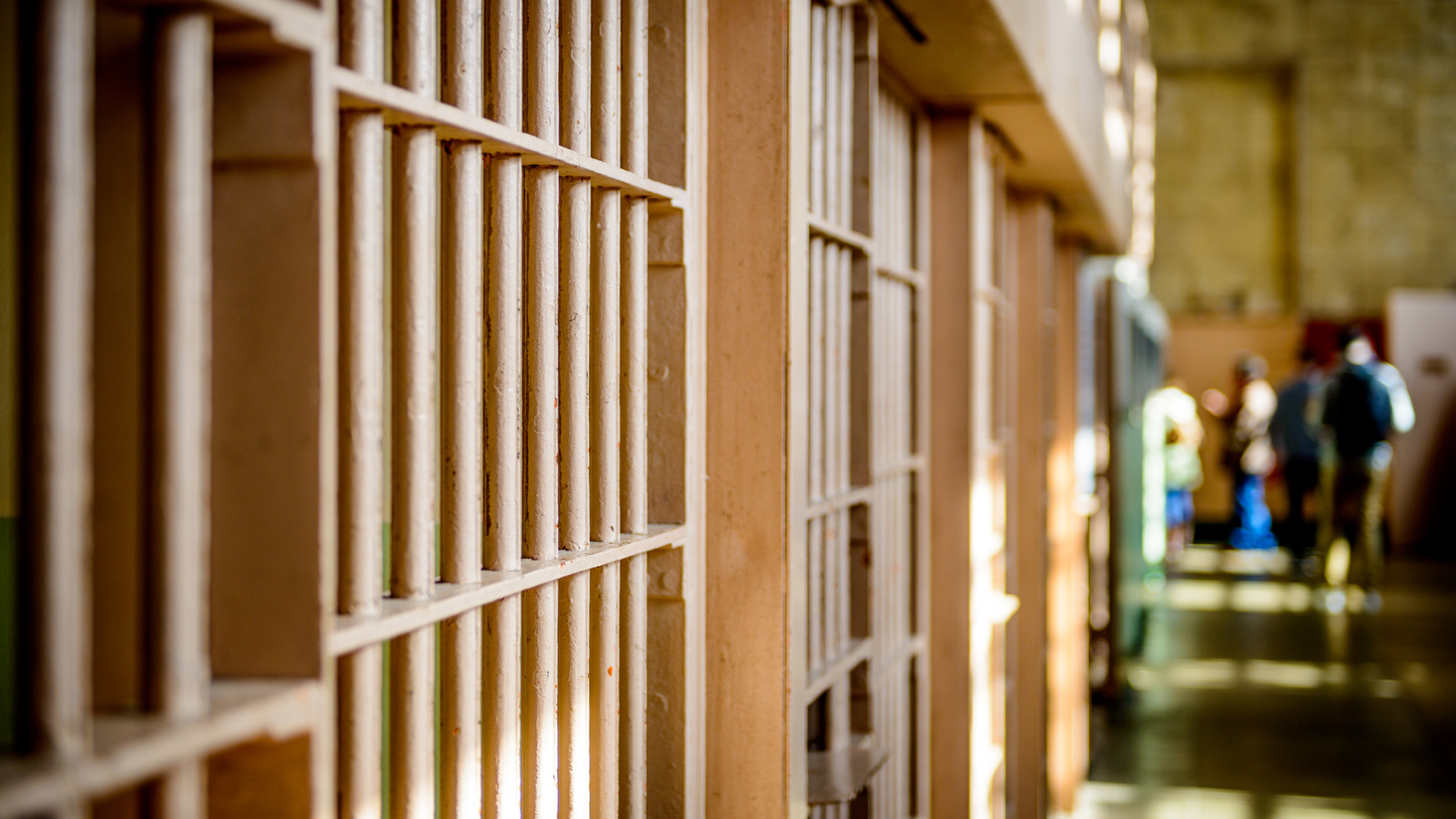 Commercial Stars Who Ended Up In Jail