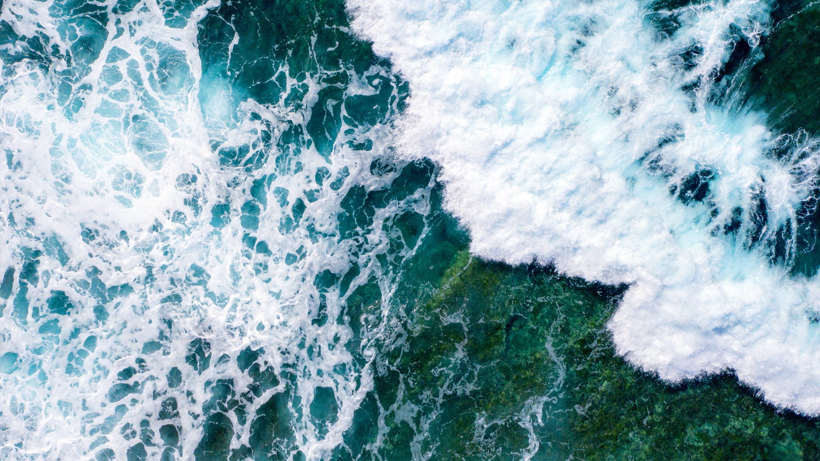 Deadliest Catch: The Tragic Sinking Of The Scandies Rose