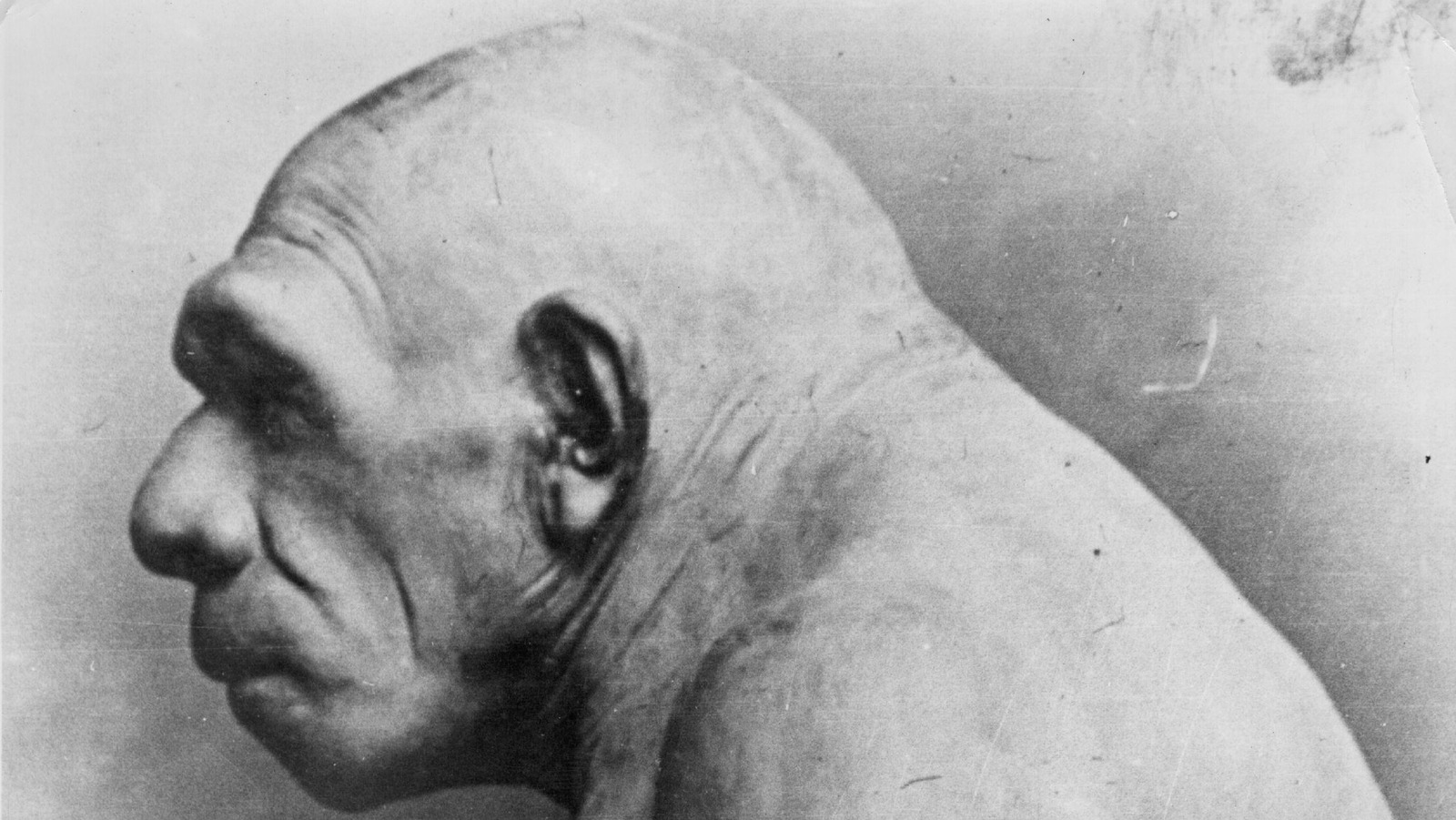 Did Neanderthals Really Have Poor Posture?