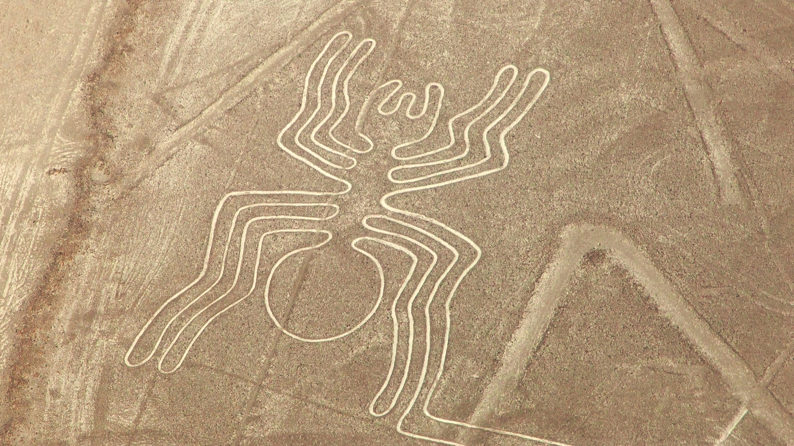 Facts About The 168 Newly-Discovered Ancient Nazca Lines In Peru