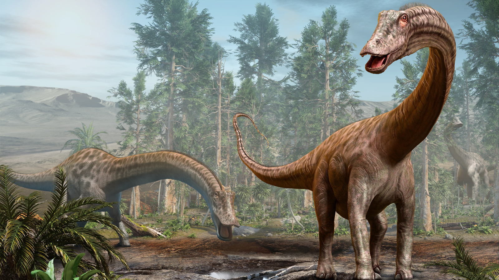 Fossils Discovered In India Gave Scientists A Glimpse Into How Dinos ...