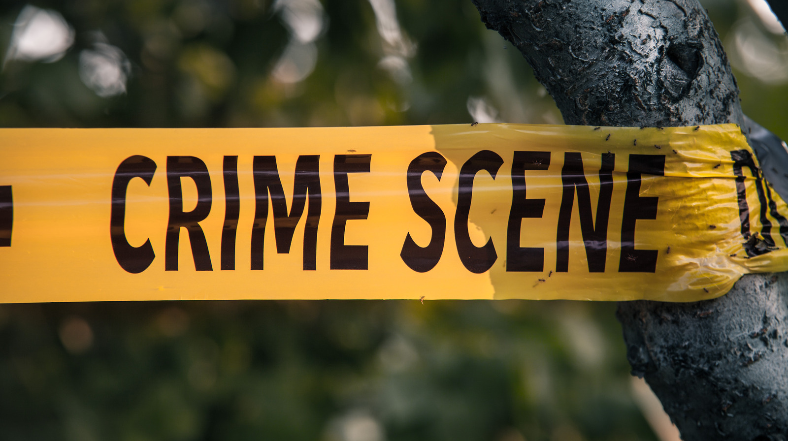 Here's How Many Victims Serial Killer John Martin Scripps Had