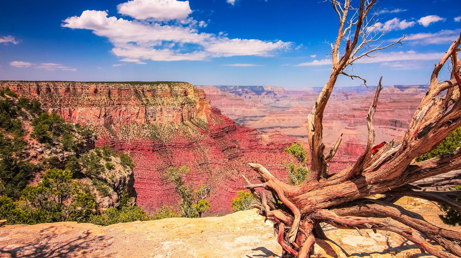 How A 'Dad Joke' At The Grand Canyon Turned Into A Deadly Fall
