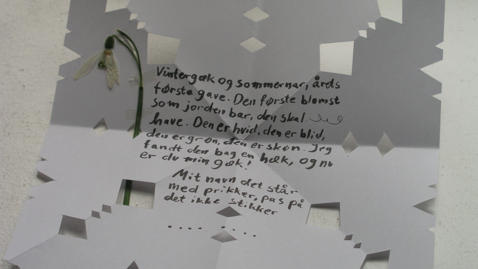 How Denmark Celebrates Valentine's Day