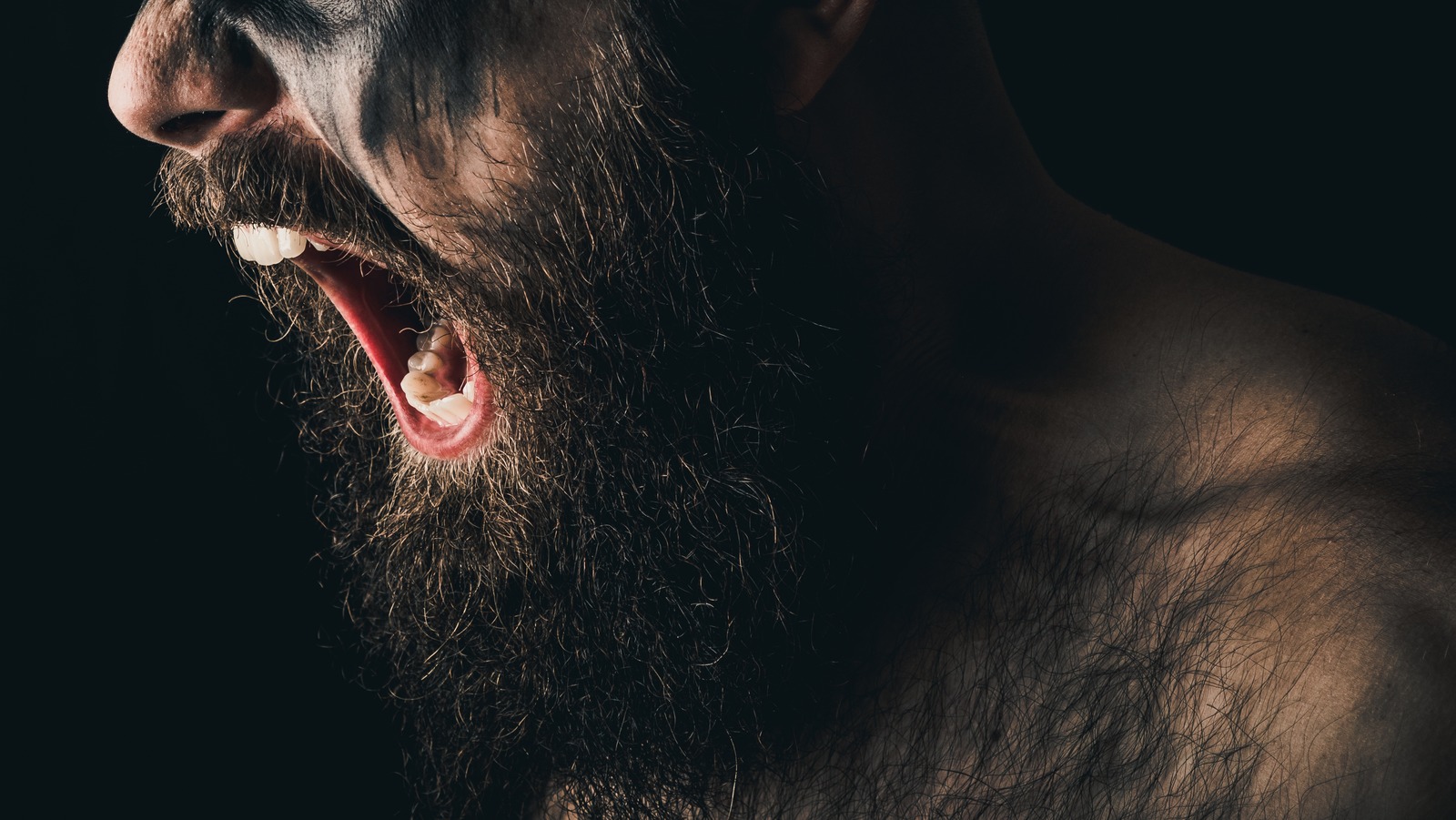 How Do Metal Vocalists Scream?