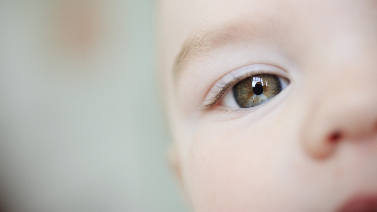 How Many Children Did Dr. Jan Karbaat From 'Seeds Of Deceit' Father?