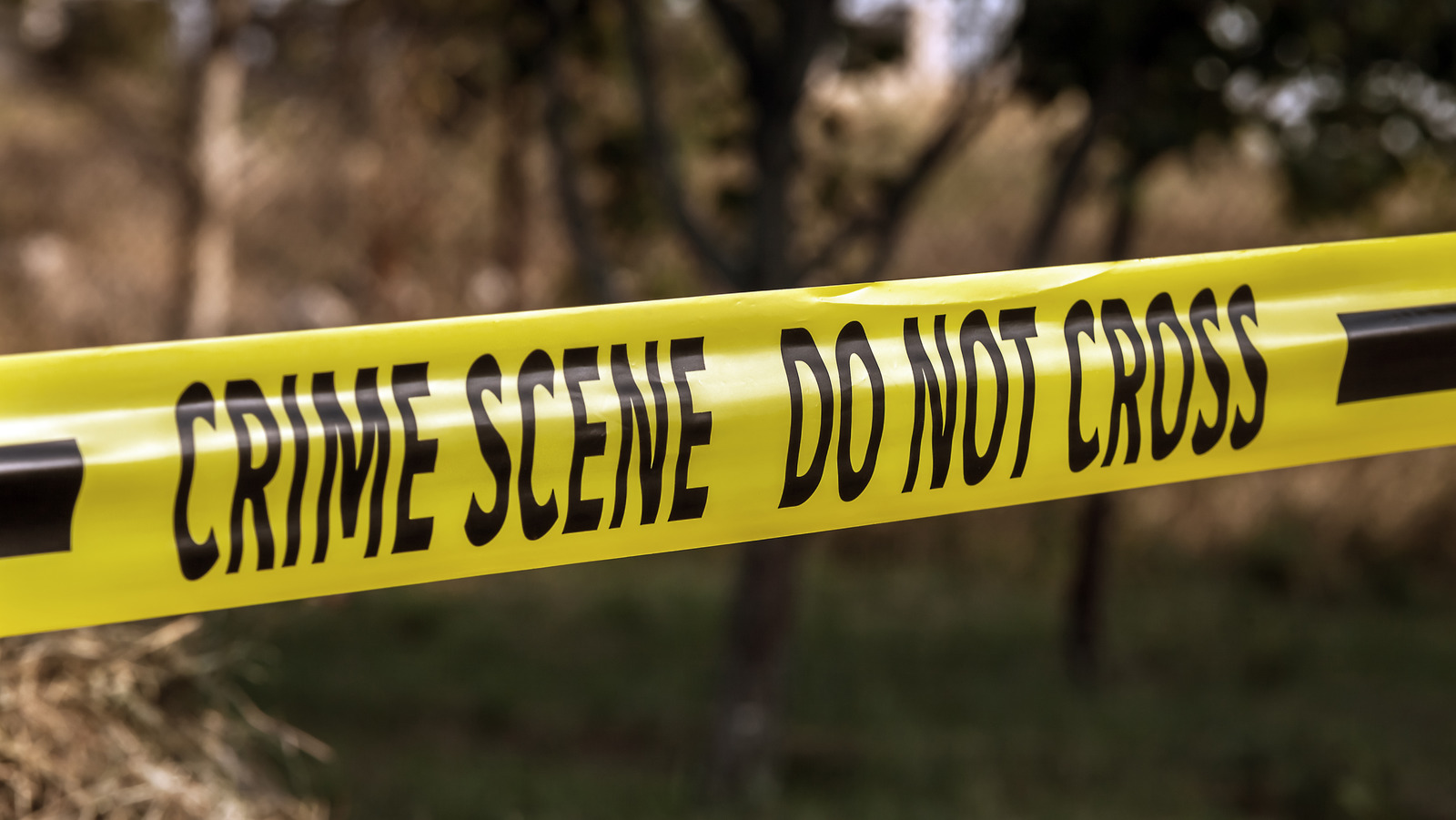 How The Long Island Serial Killer Wound Up With The Craigslist Ripper ...