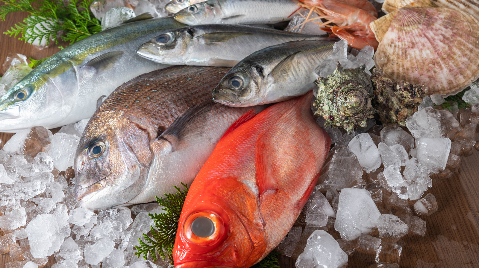 How The Mob Was Involved In The Fishing Industry