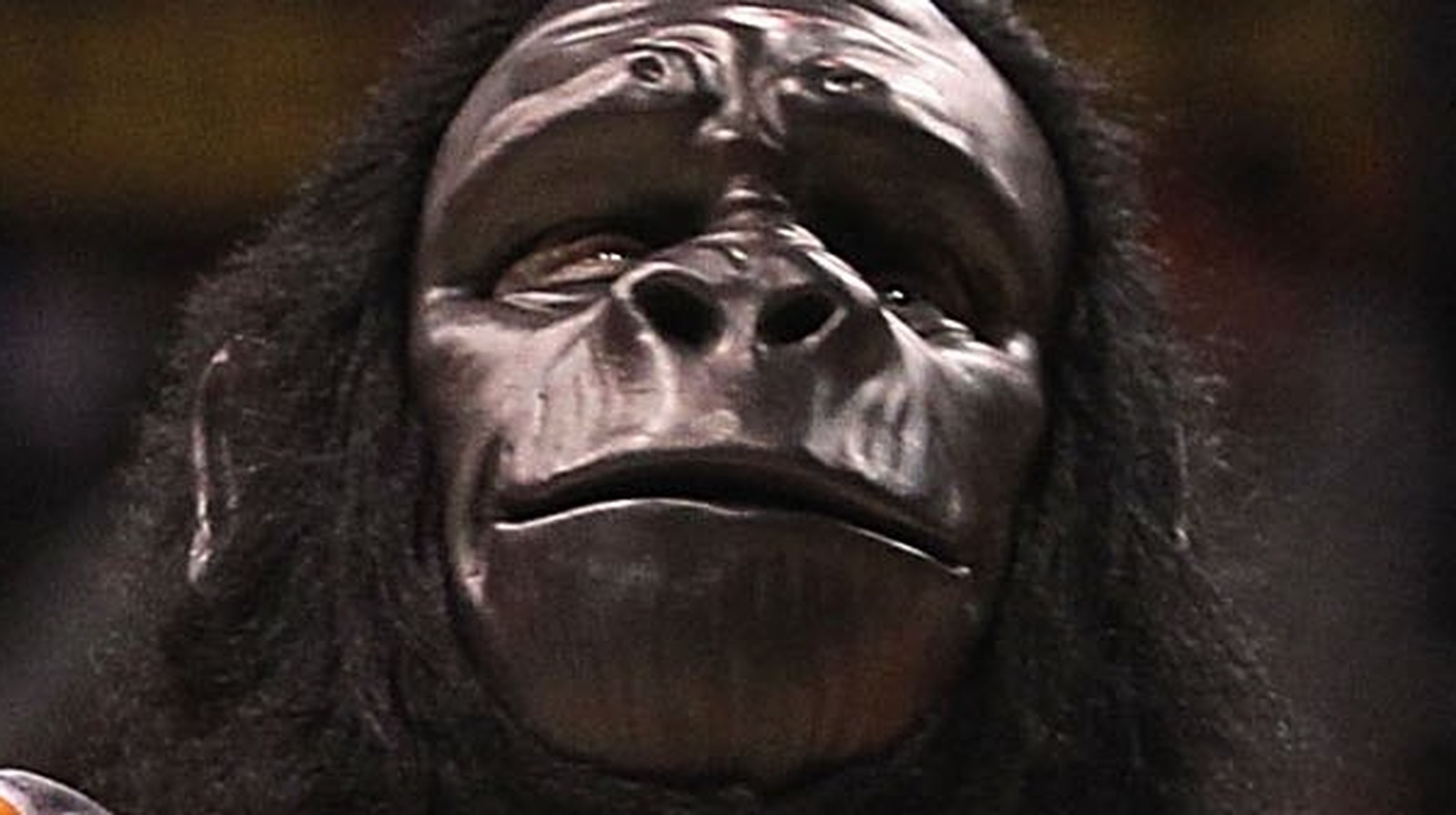 How The Phoenix Suns Landed On A Gorilla As Their Mascot