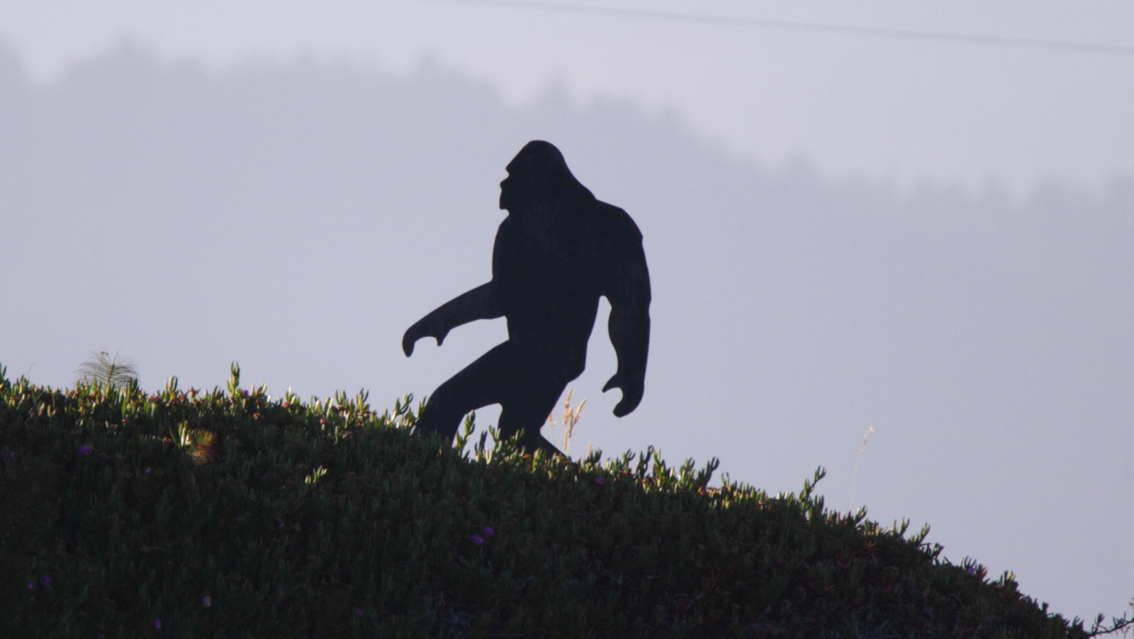 Hulu Doc Explores Sasquatch's Murderous Side