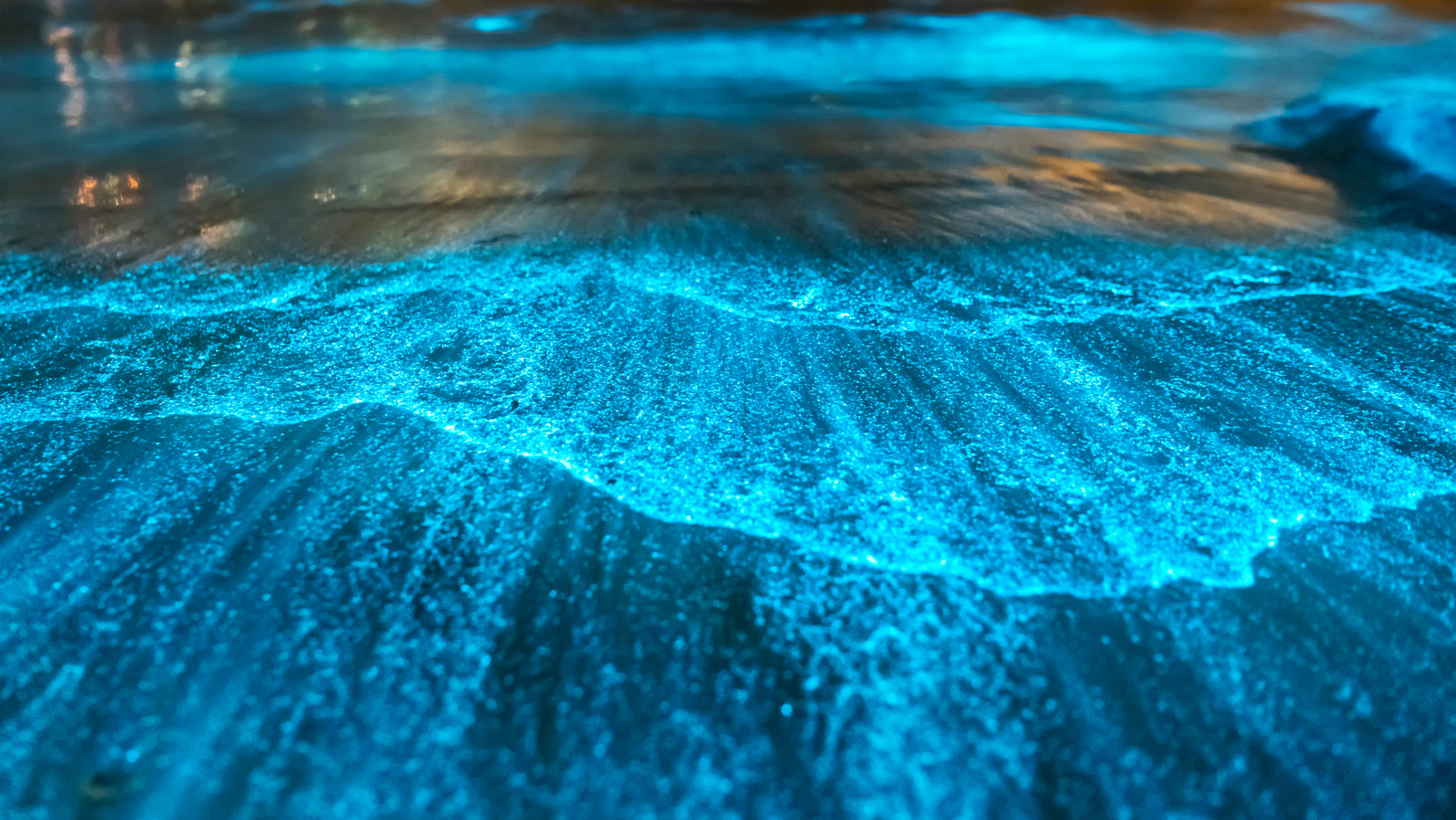 Humans Actually Glow. Here's Why You Can't See It.