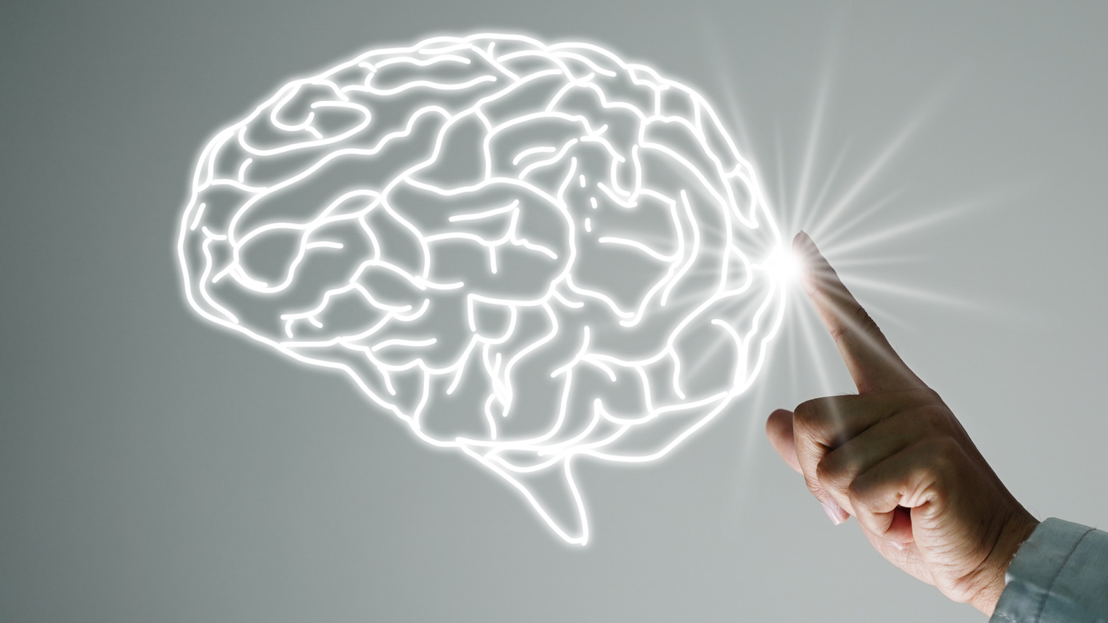 'Intelligence In A Dish': How Biocomputers Could Make Science Fiction A ...