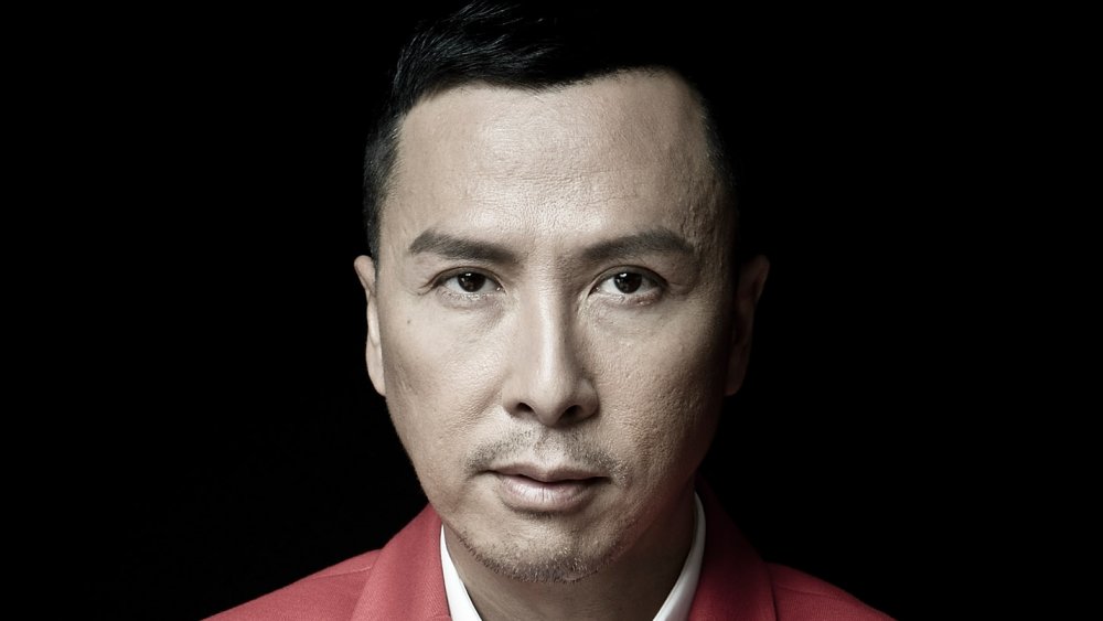 Is Donnie Yen A Real Martial Artist 