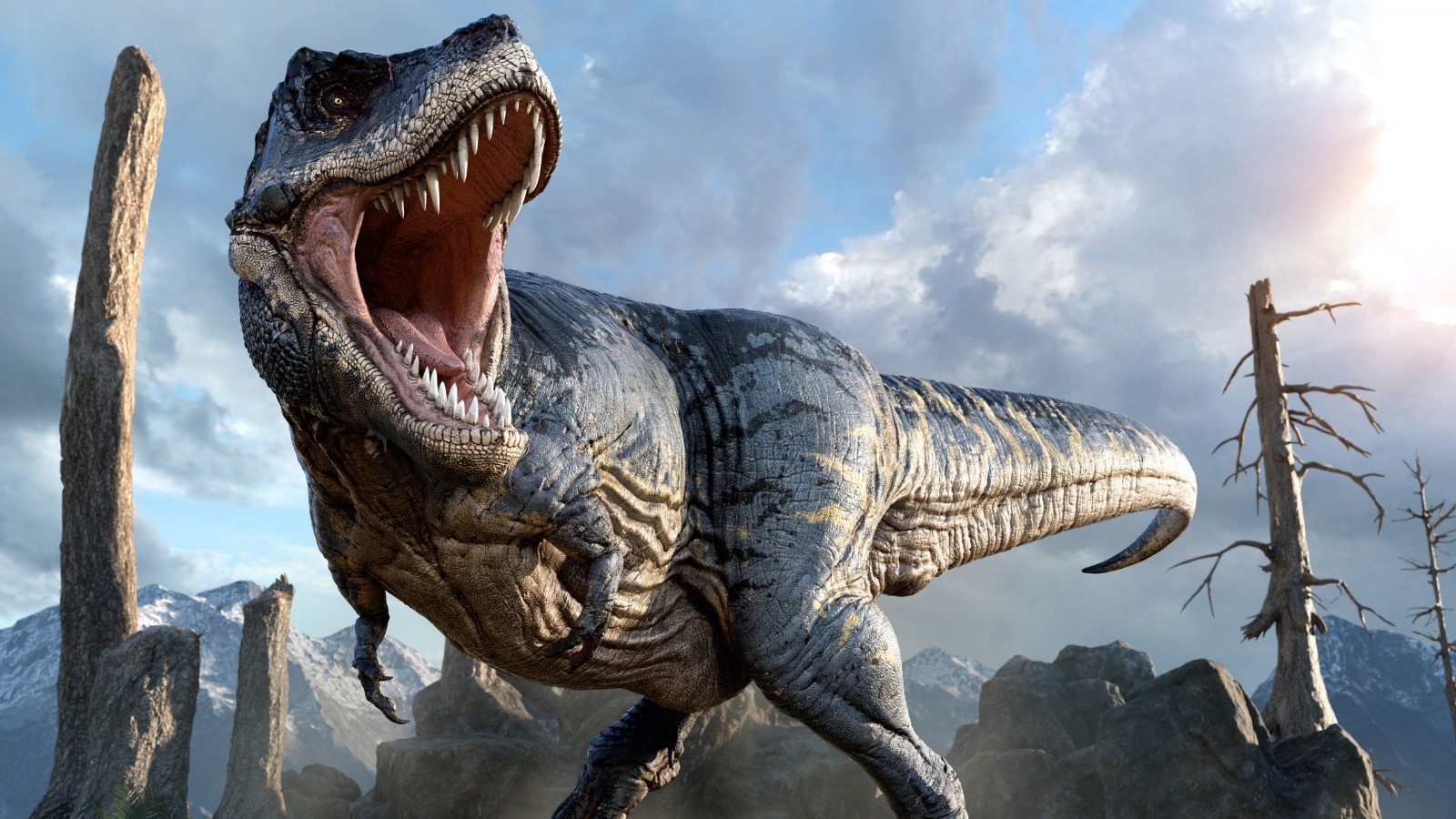 Meet The Fangy Whatcheeria: The Ancient Super Predator That Lived In ...