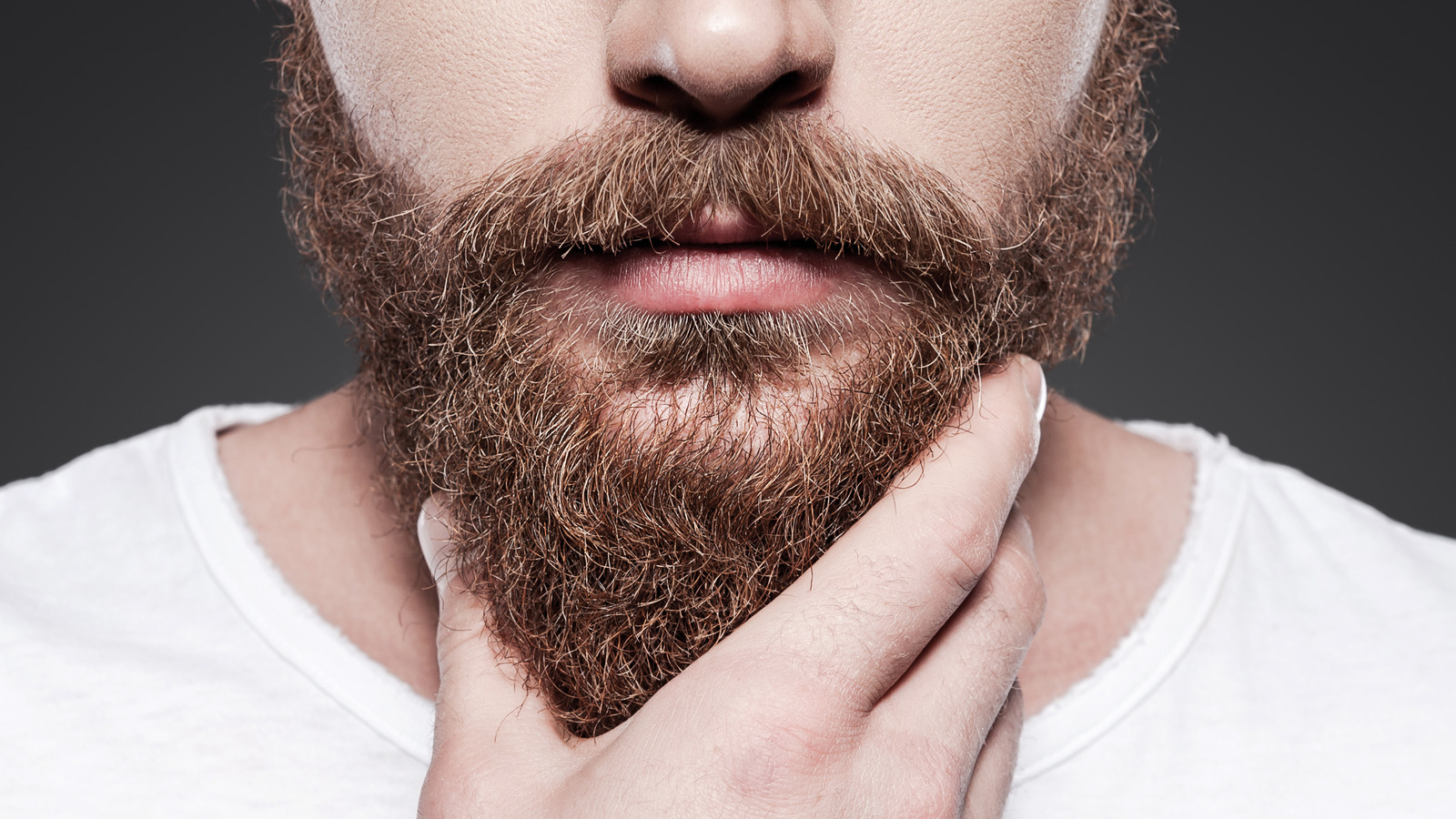What Is Pogonophobia, The Fear Of Beards?