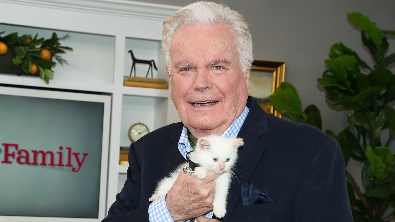 Robert Wagner: The Story Of The Hollywood Actor