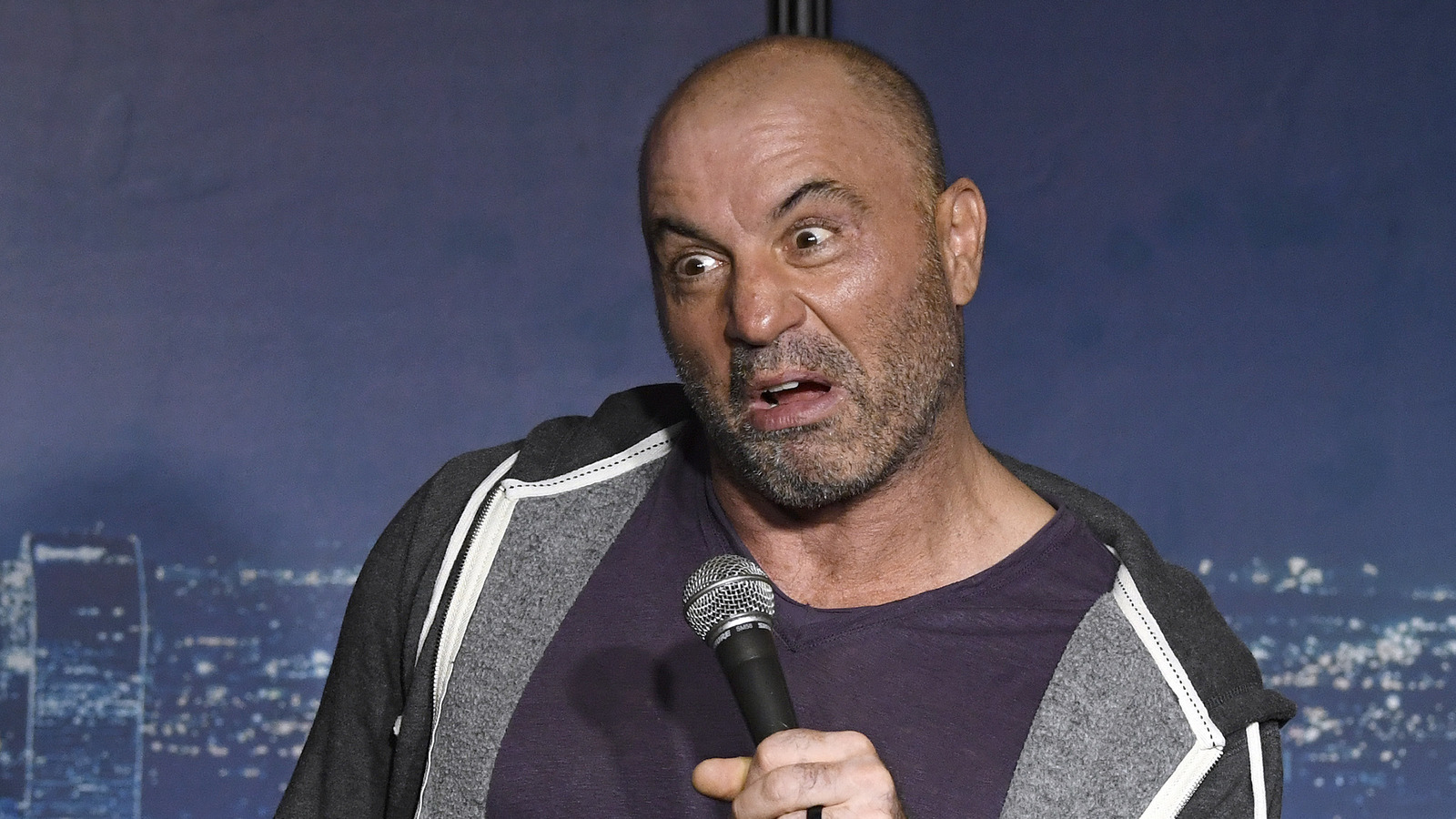 Stars Who Can't Stand Joe Rogan
