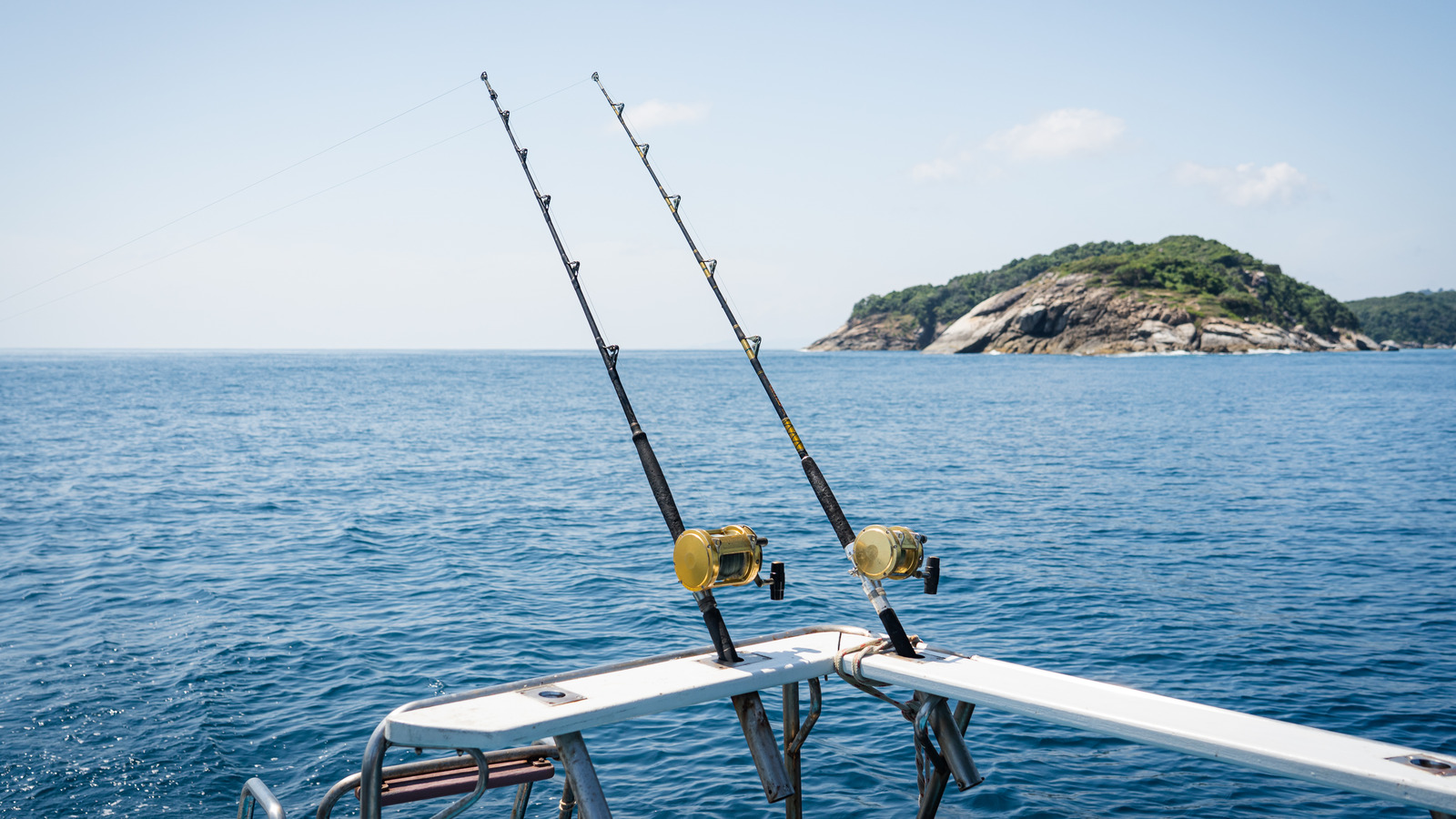 The 90-Million-Year-Old Discovery Made During A Simple Fishing Tournament