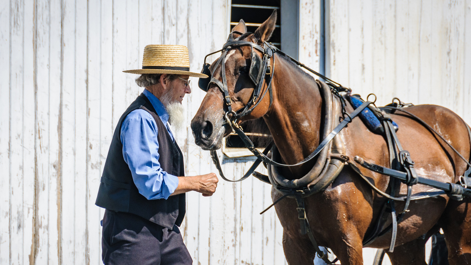The Amish Beard Cutting Attacks Explained