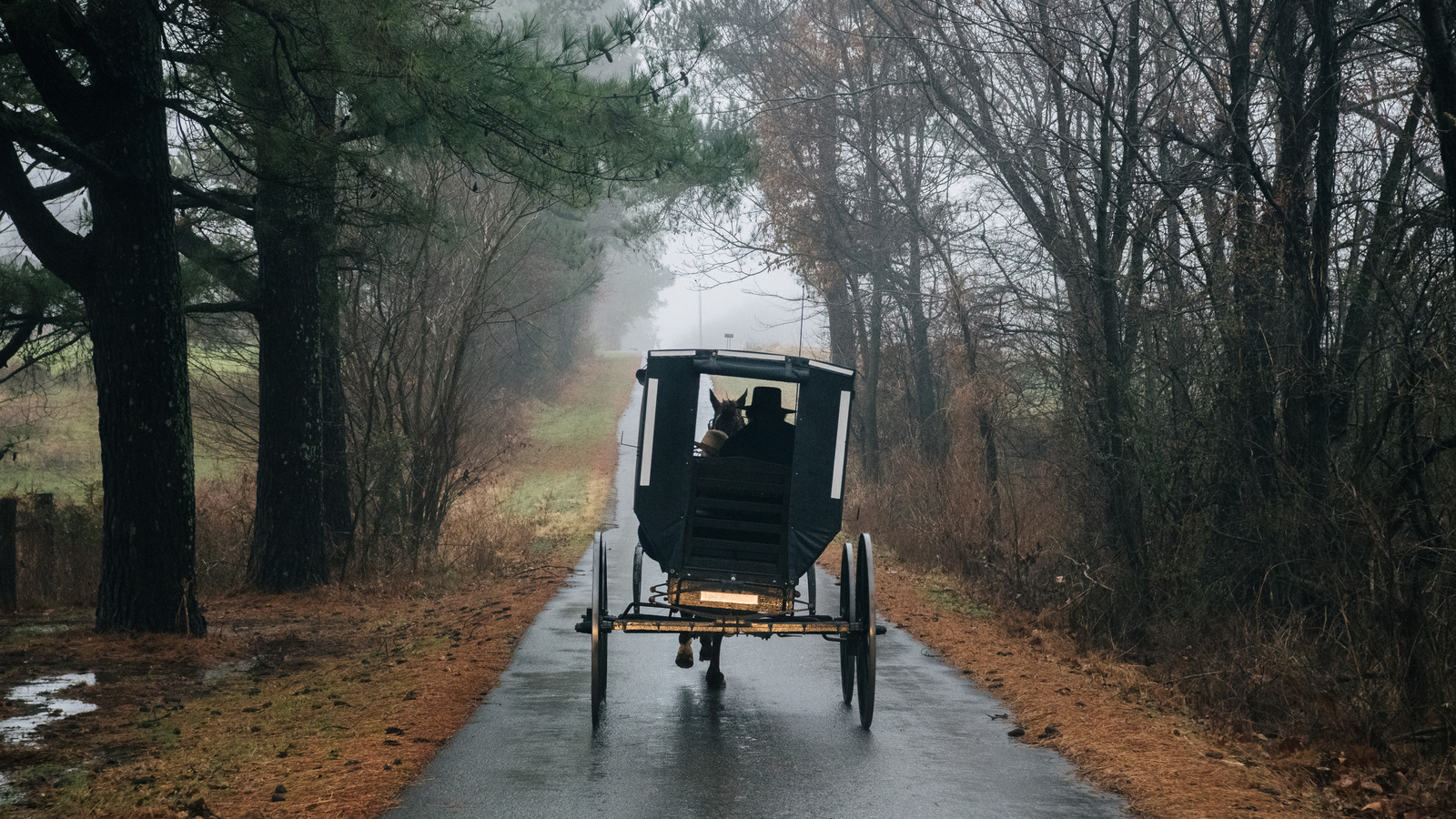 The Biggest Differences Between The Amish And Mennonites The Biggest Differences Between The Amish And Mennonites