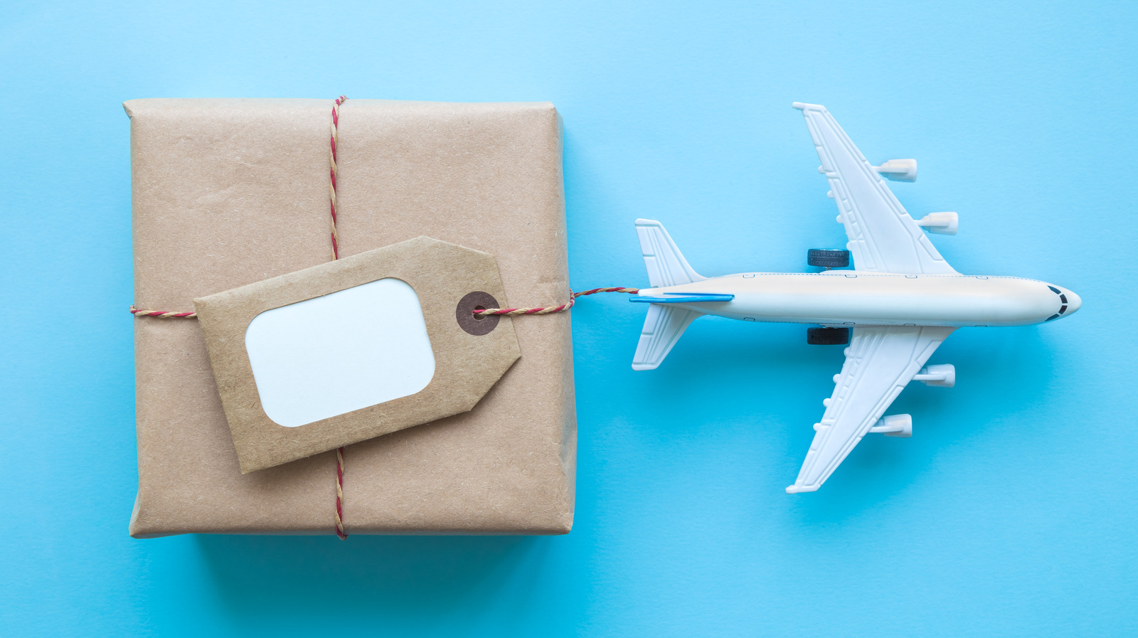 The Bizarre True Story Of The Man Who Was Airmailed Home