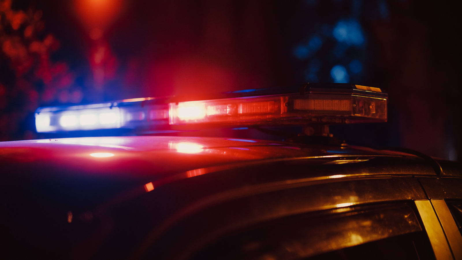 The Disturbing True Story Of The Girl Who Saw Herself In A 'Missing ...