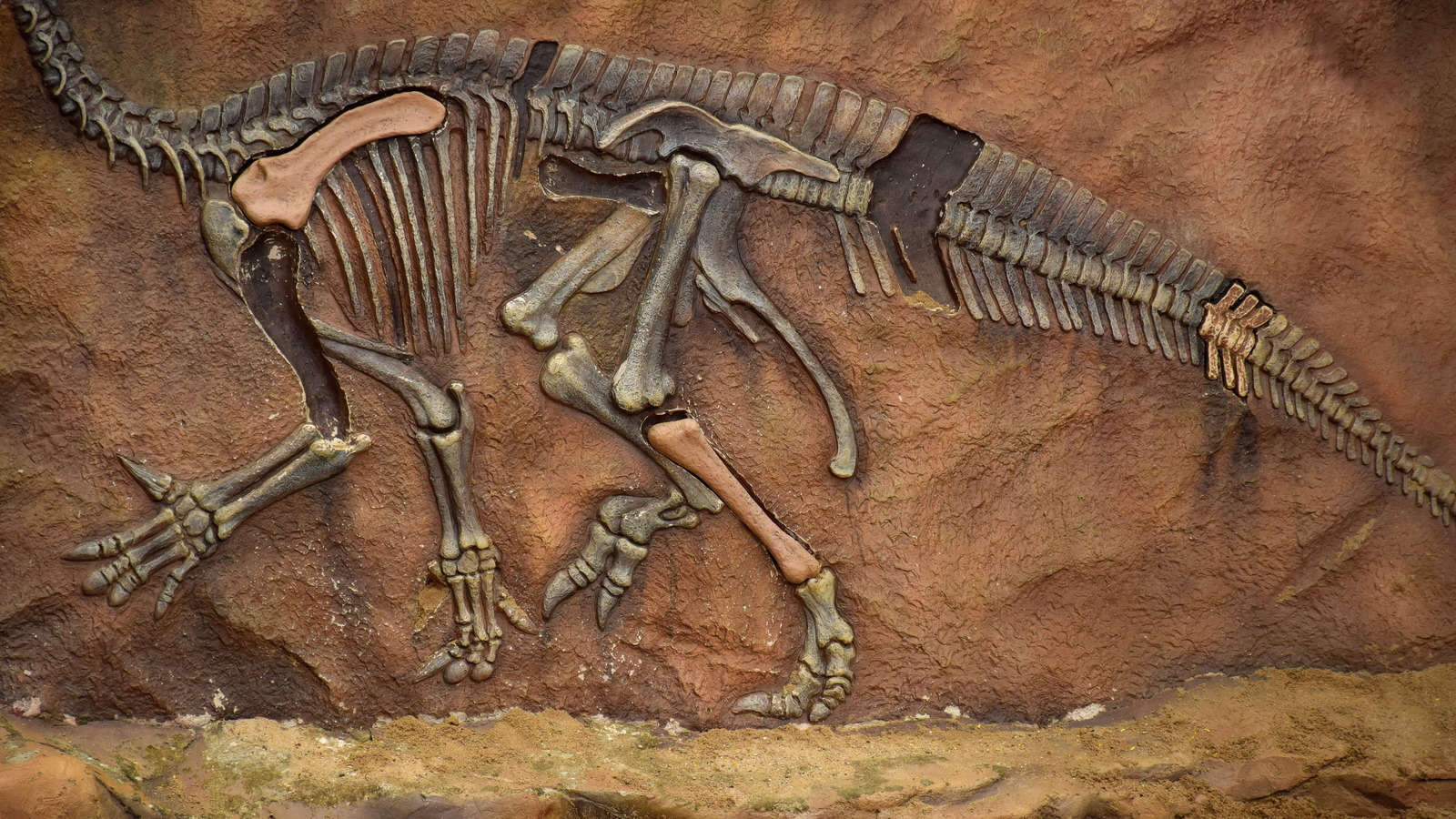 The Extinct Feathered Creature That Was Named After A Demon