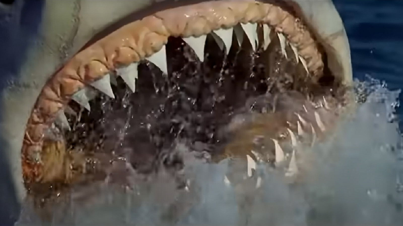 The Gripping Story Behind The Jaws Theme Song