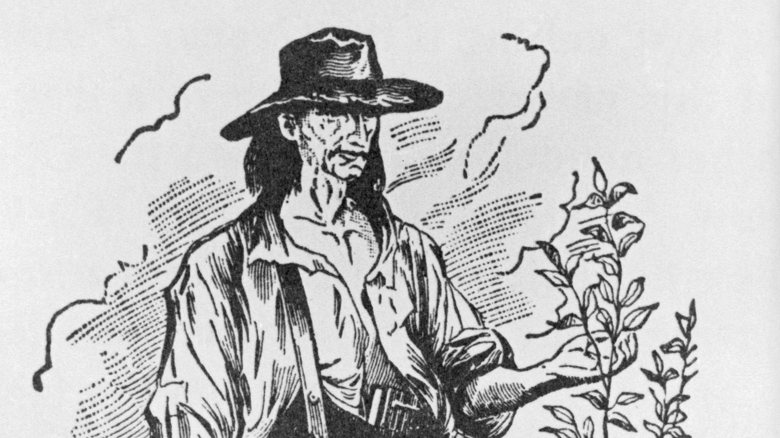 The Hidden Truth About Johnny Appleseed