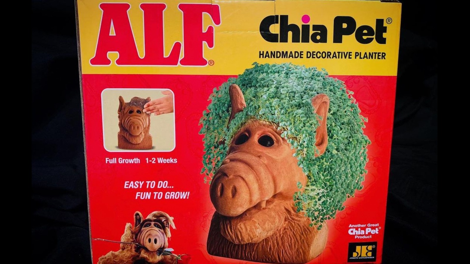 The Hidden Truth Of Chia Pets