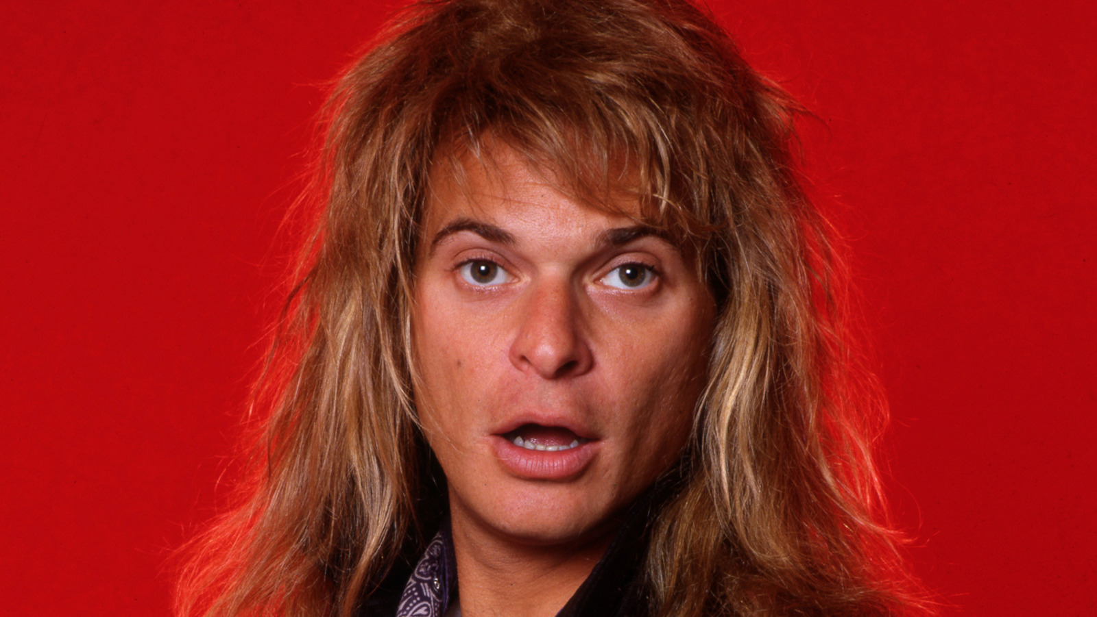 The Hidden Truth Of David Lee Roth