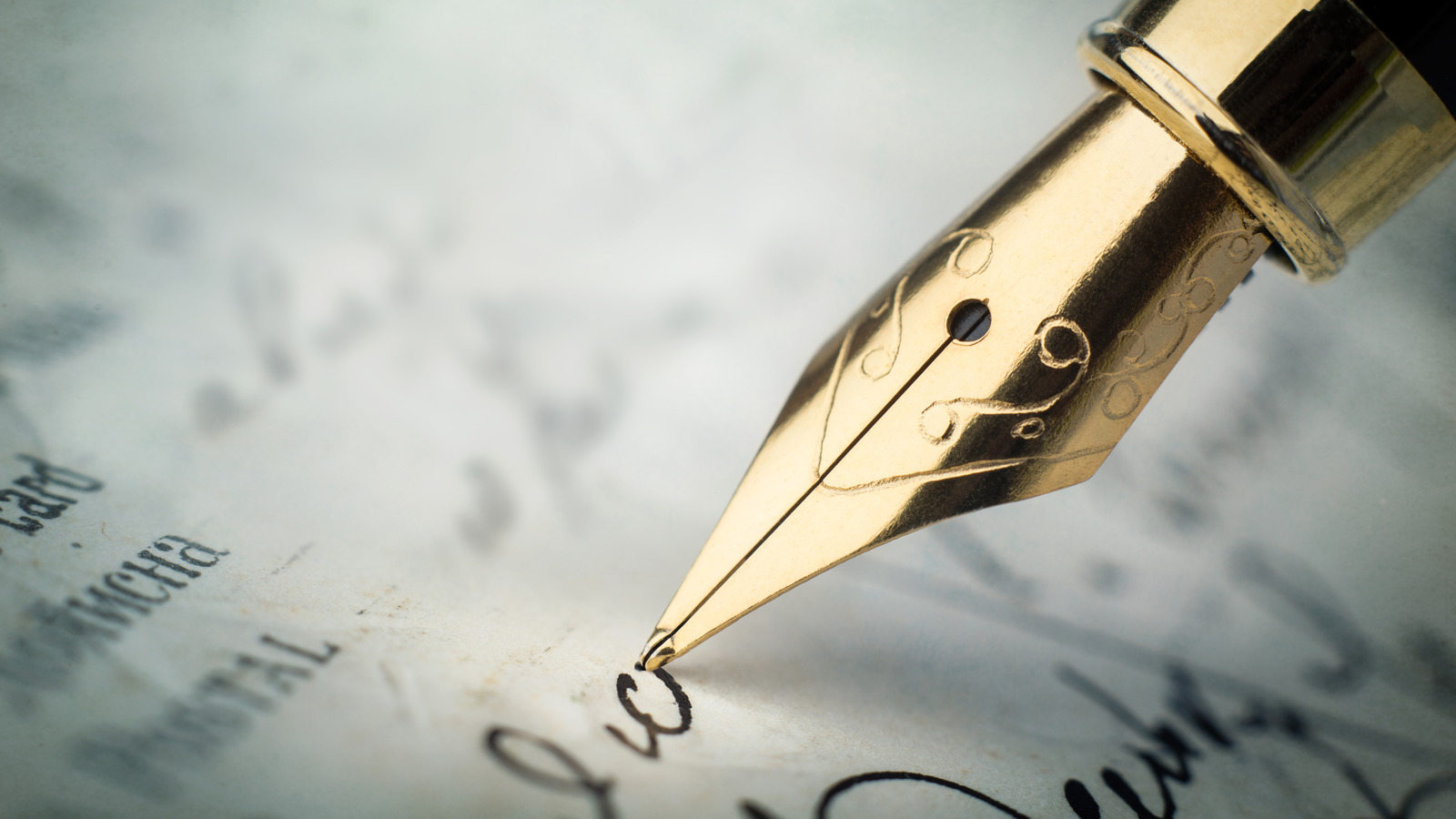 The LDS Salamander Letter Explained