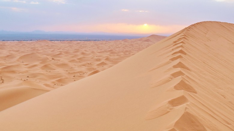 The Most Intense Tales Of Survival Ever