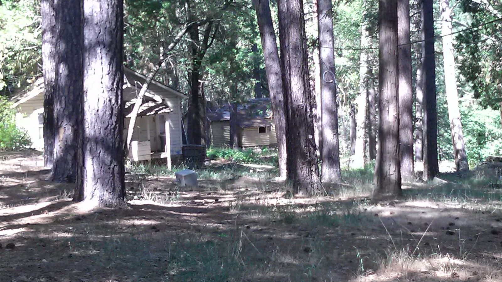 The Mystery Behind The Keddie Cabin Murders Explained