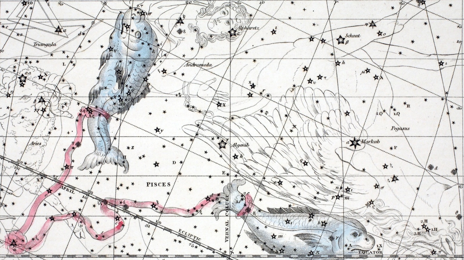 The Mythology Behind The Pisces Constellation Explained