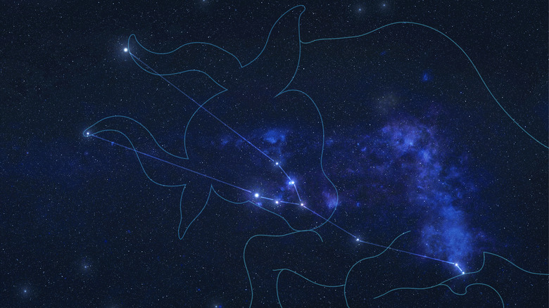 The Mythology Behind The Taurus Constellation Explained The Mythology Behind The Taurus Constellation Explained