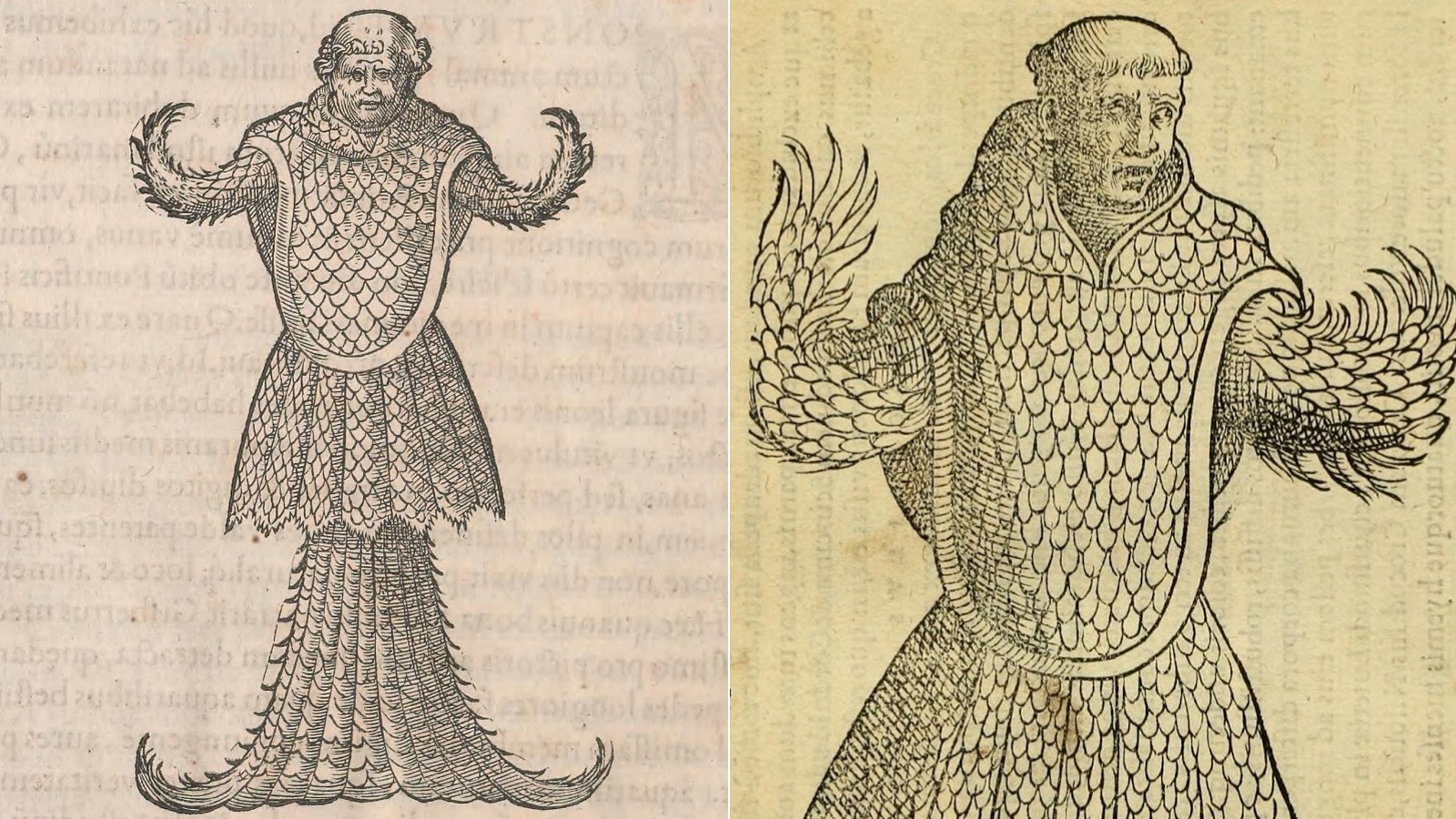 The Mythology Of Sea Monks Explained