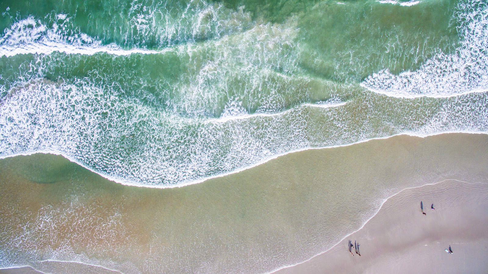 The Puzzling Object That Emerged On Daytona Beach