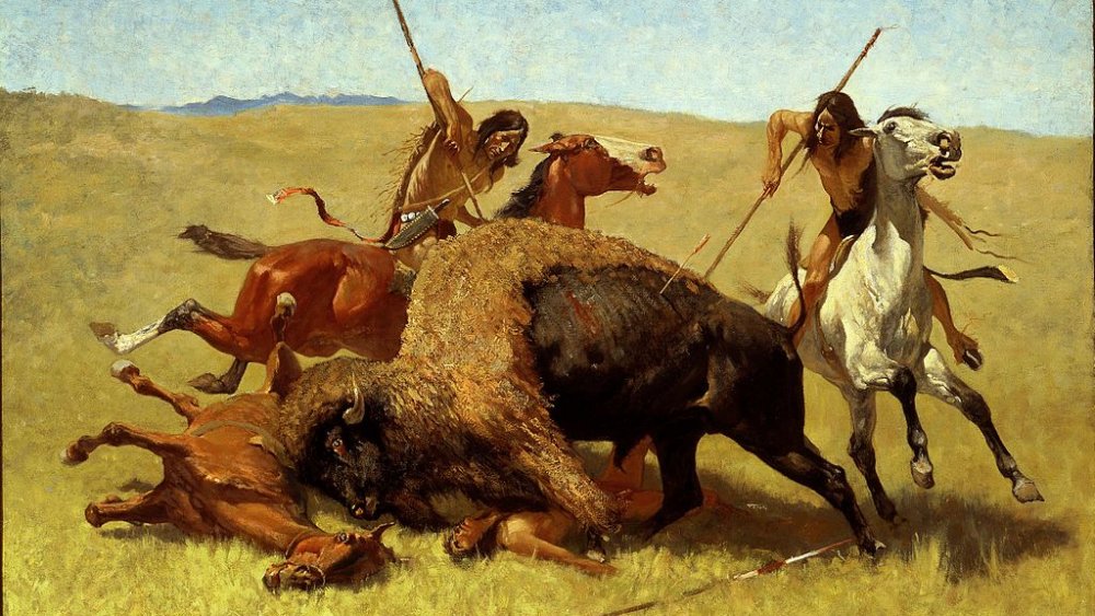 The Real Reason Buffalo Almost Went Extinct