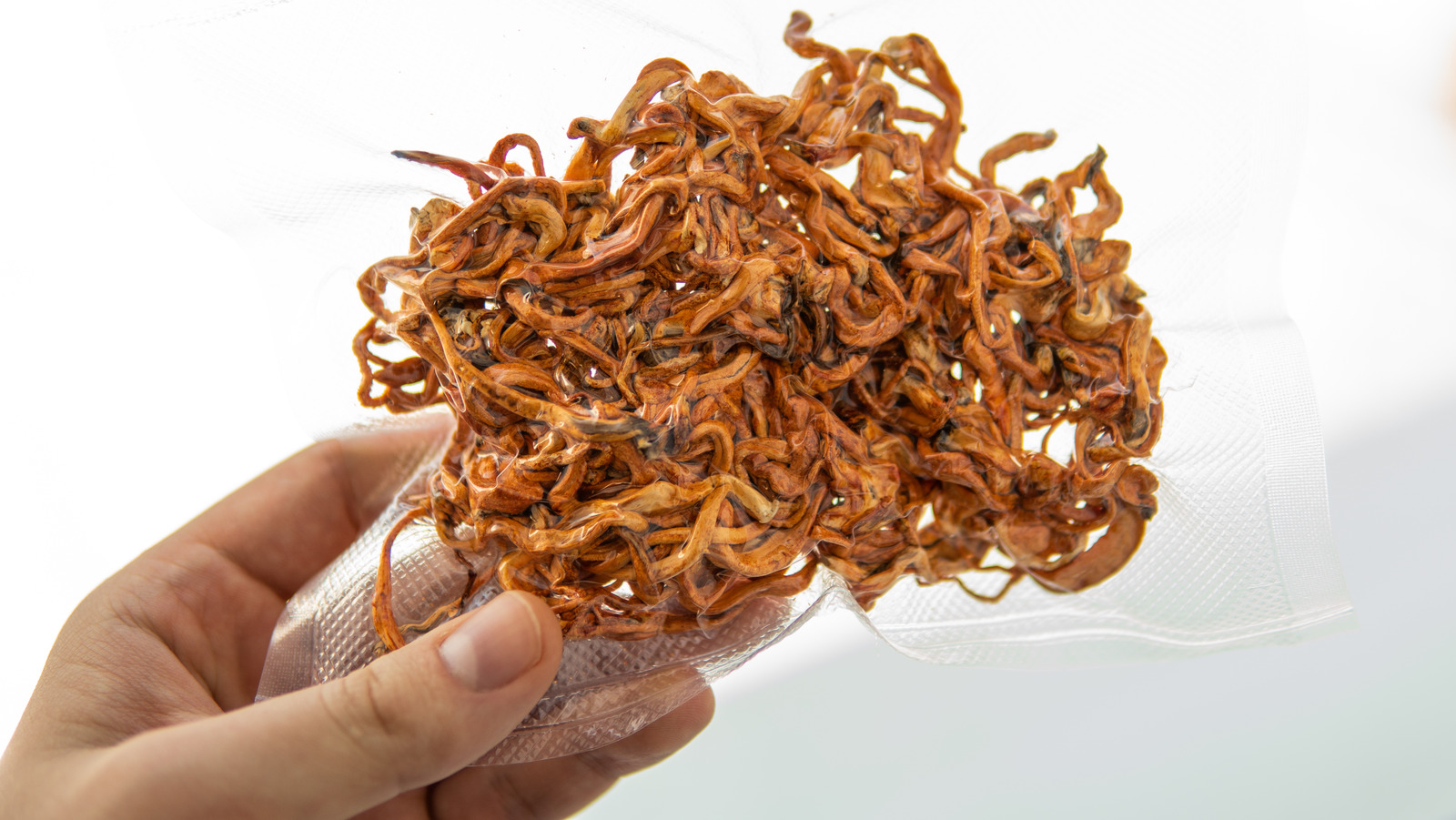 The Real Reason Caterpillar Fungus Is More Valuable Than Gold