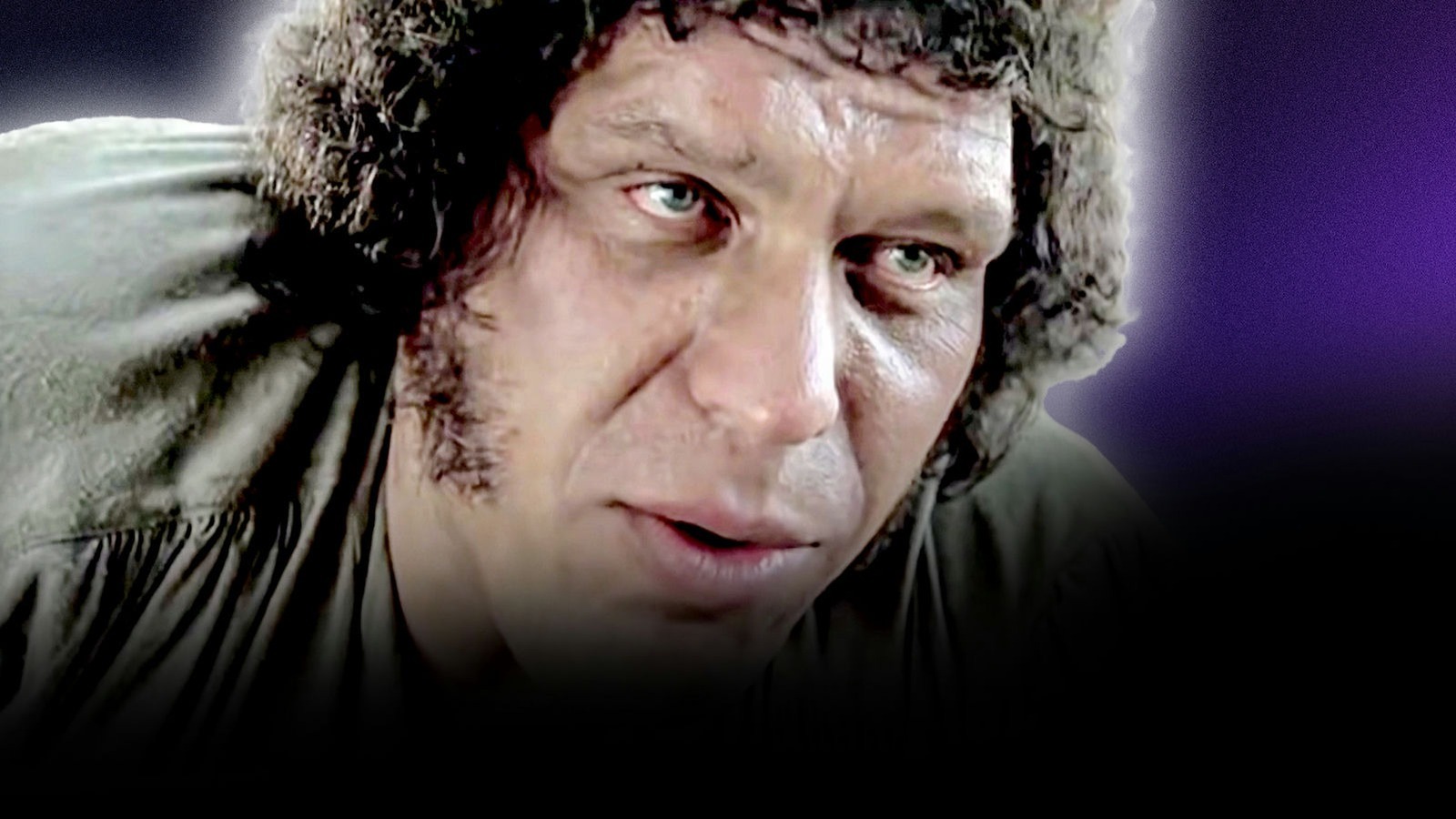 The Rise And Fall Of Andre The Giant