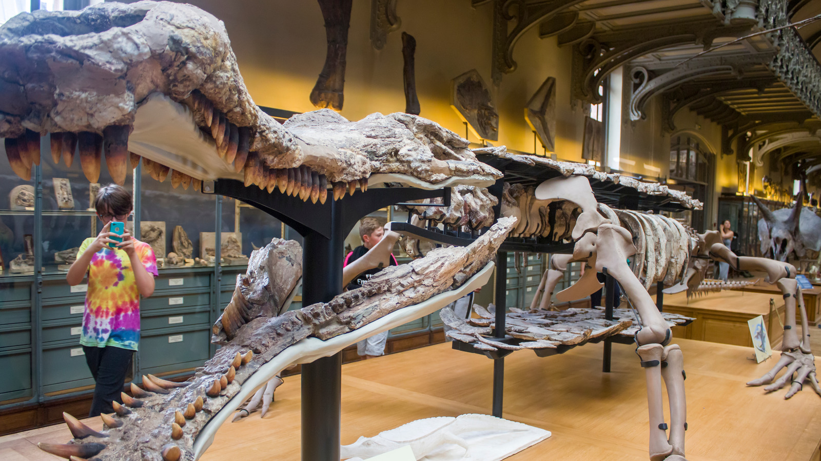 The Sahara Used To Be Home To Galloping Crocodiles