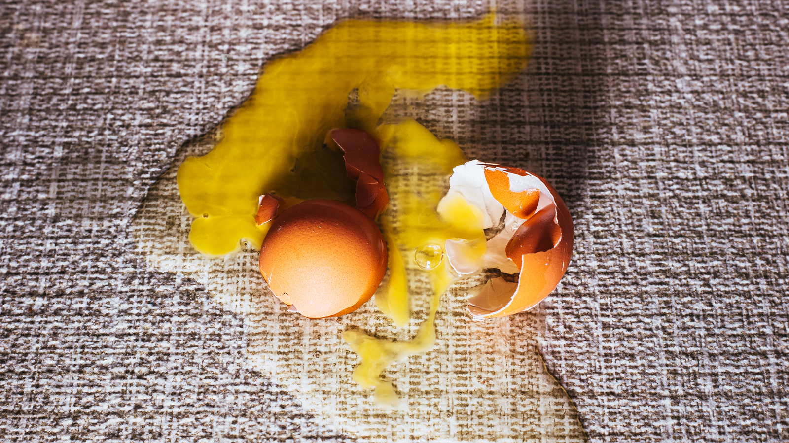 The Science Behind The Egg Drop Experiment Explained The Science Behind The Egg Drop Experiment Explained