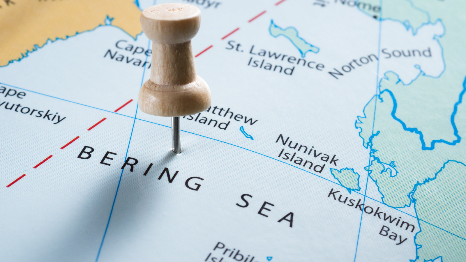 The Study That Sheds Doubt On The Clovis First Theory