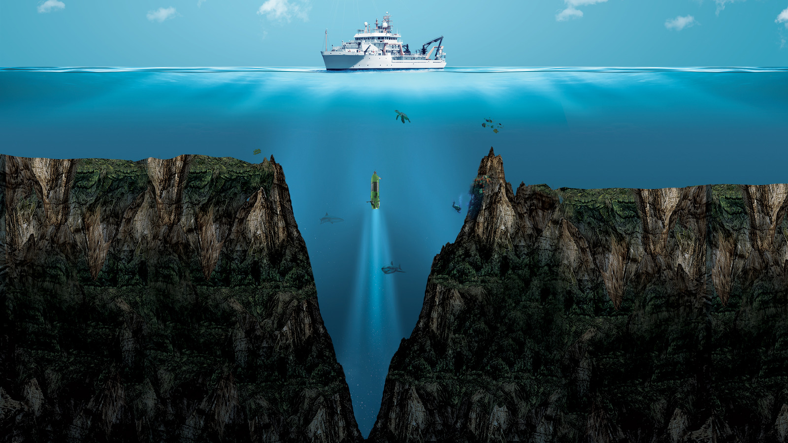 The Terrifying New Sea Life Discoveries Made Off The Coast Of Cocos Islands