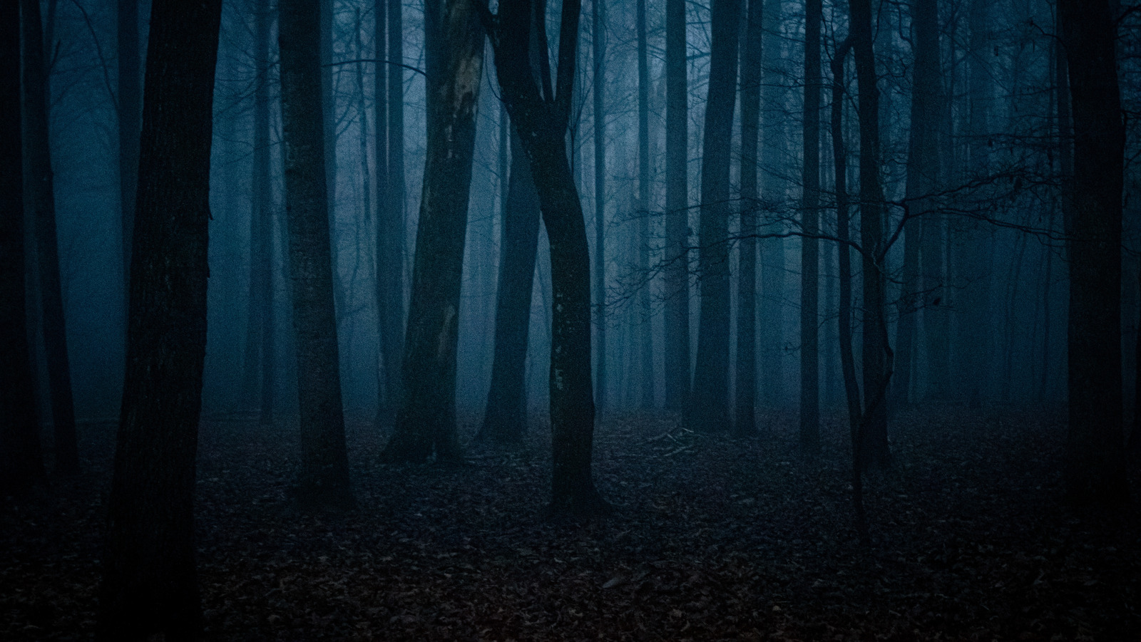 The Top 5 Scariest Halloween Urban Legends In U.S. States
