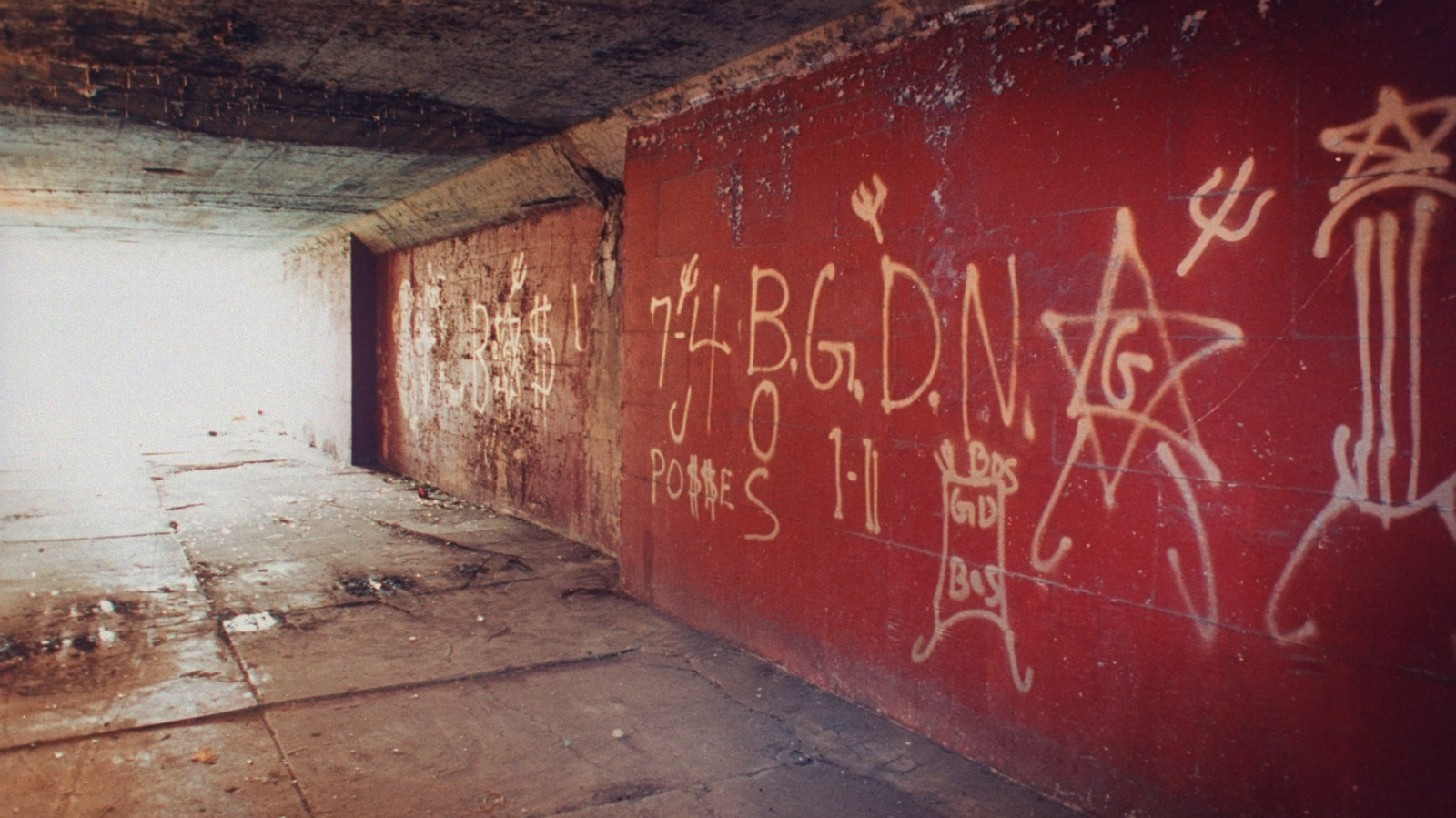 Black Disciples Killers