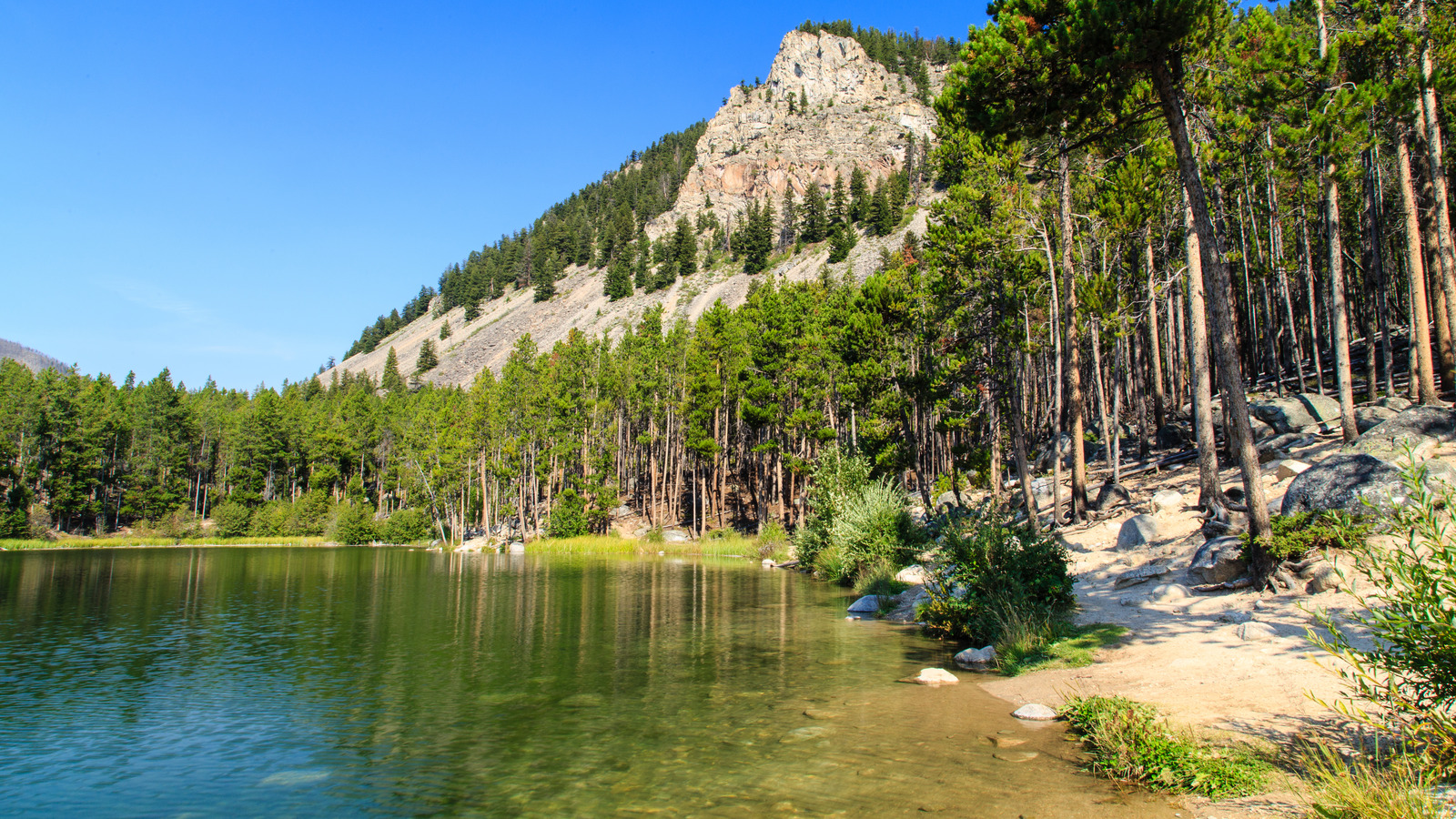 The Tragic Disappearance Of Nyleen Marshall