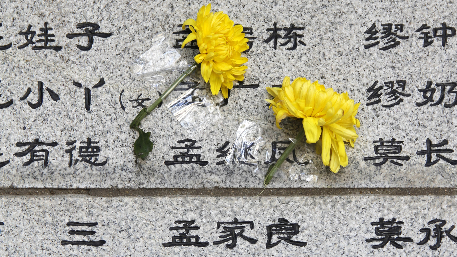 The Tragic Truth About The Nanking Massacre